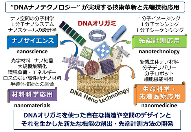 DNAナノテクノロジーグループ 京都大学