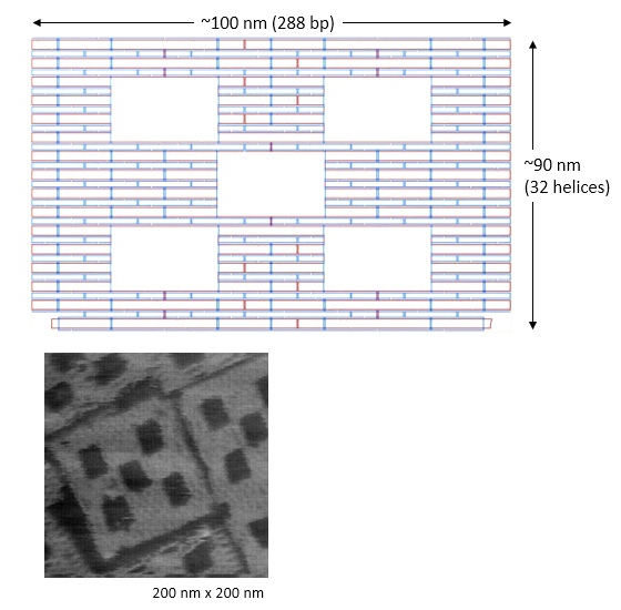 DNA Nanotechnology Group Kyoto University